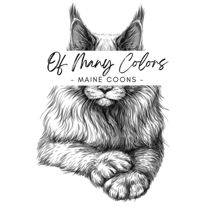 Of Many Colors Maine Coons